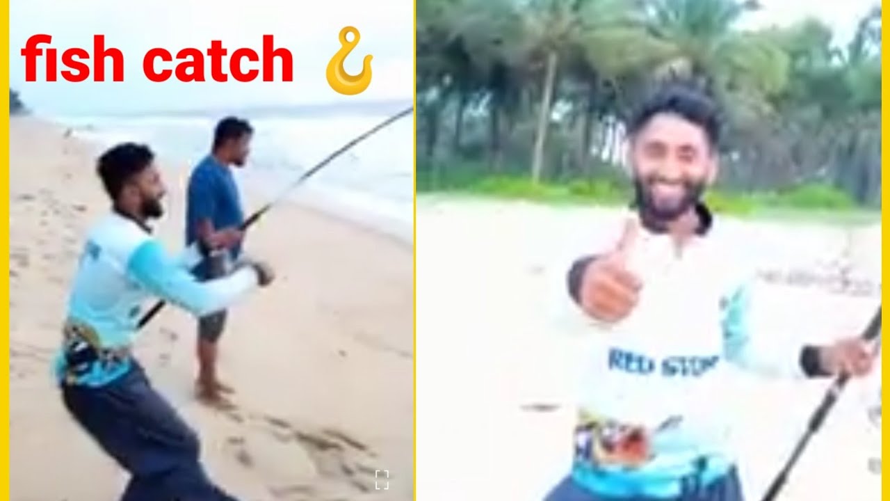 fish catch 🪝 - YouTube
