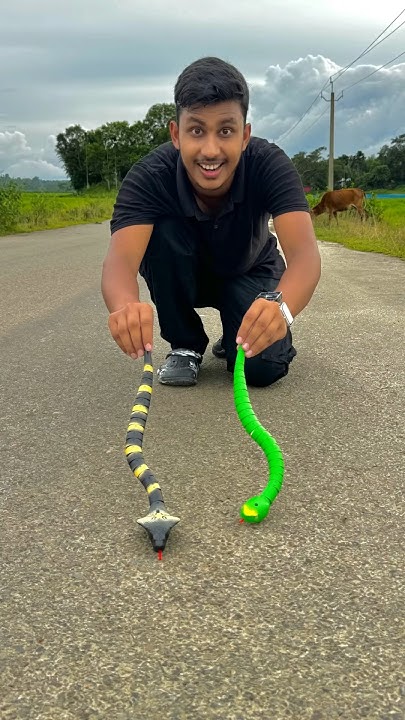 Remote control snake video 🔥 - YouTube