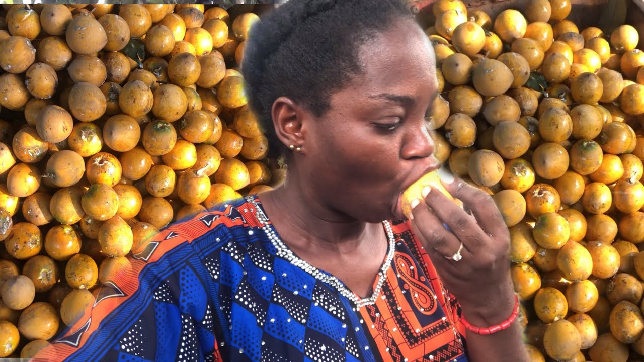 CRAVING FOR UDARA THIS SEASON? JOIN ME LET’S CLIMB THE BIGGEST UDARA ...