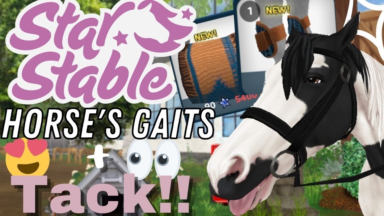 (APH'S) All Their Gaits + New Western Tack!! 🐴🤔|| Star Stable Online ...
