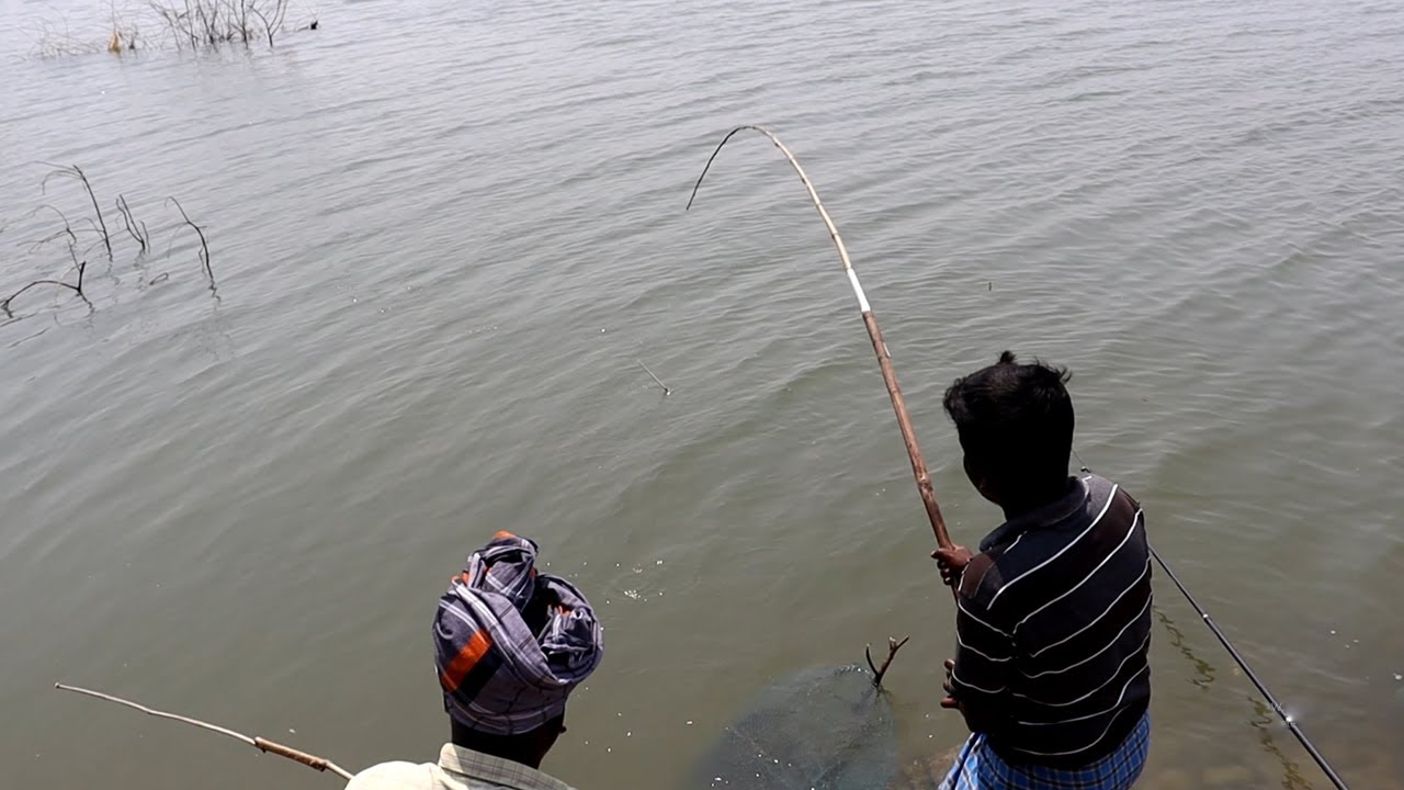 Unbelievable Tilapia Fish catching Back to Back - YouTube