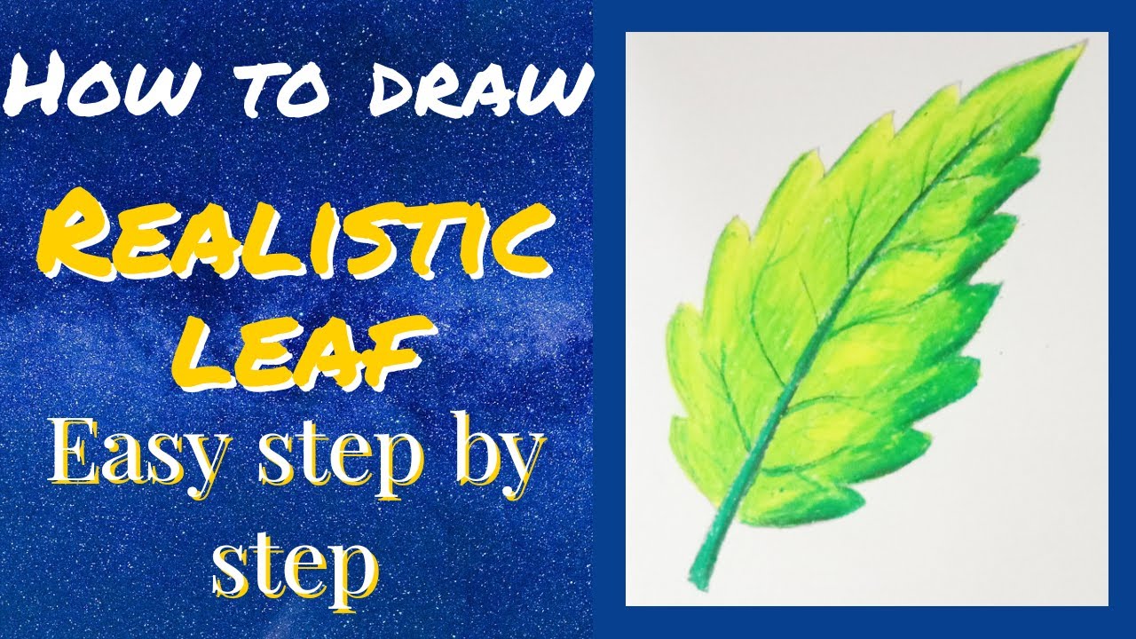 How to draw a realistic leaf | Easy Colourful | Step by Step | For ...