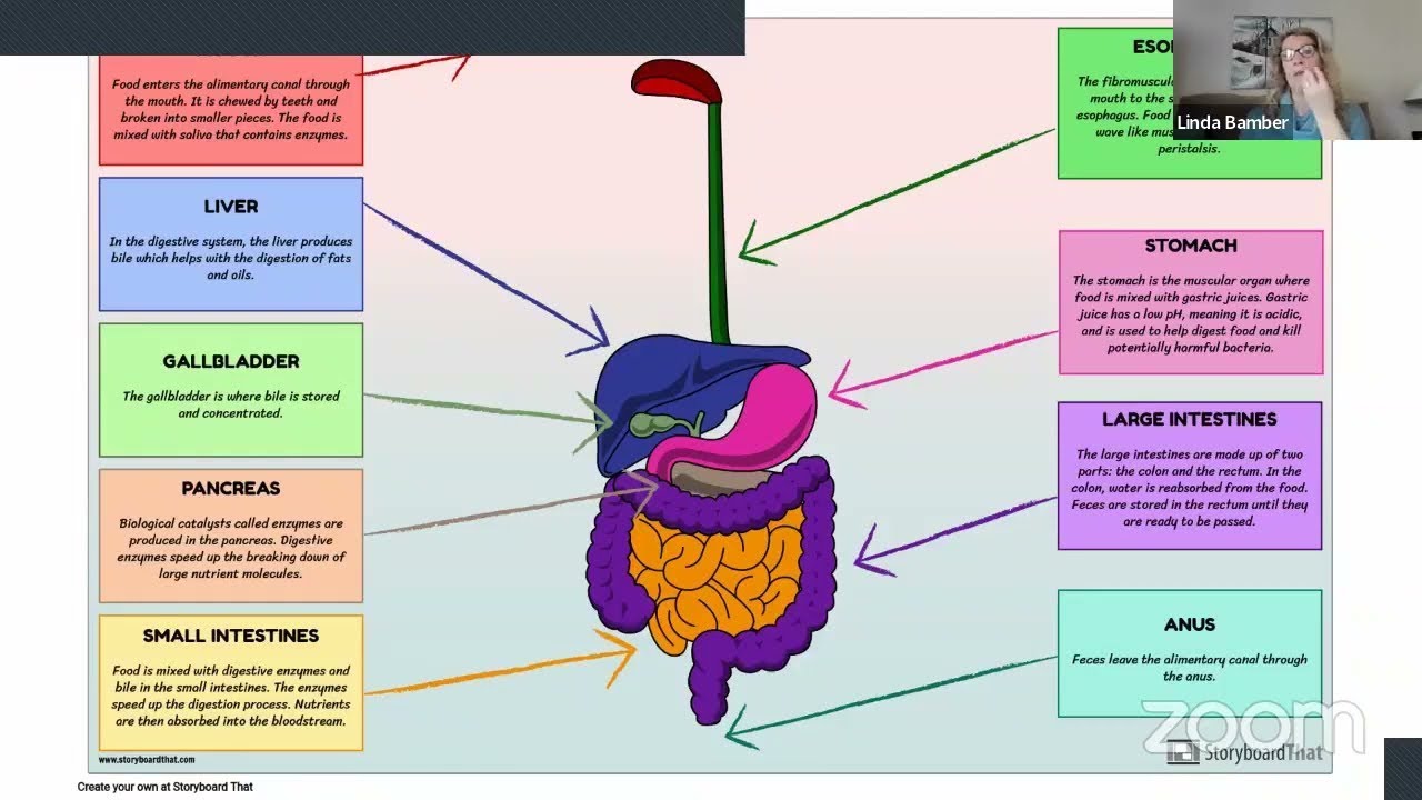 Relieve Indigestion With Sound Therapy - YouTube