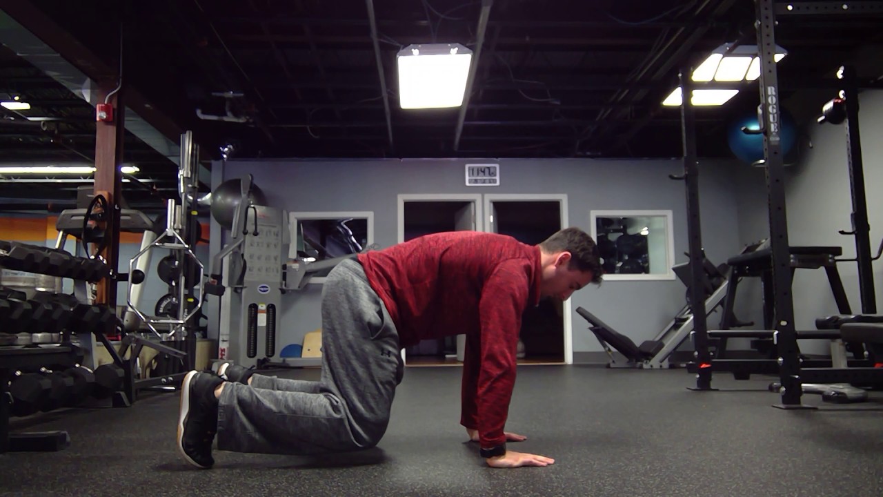 Activation- Beast Hold - YouTube
