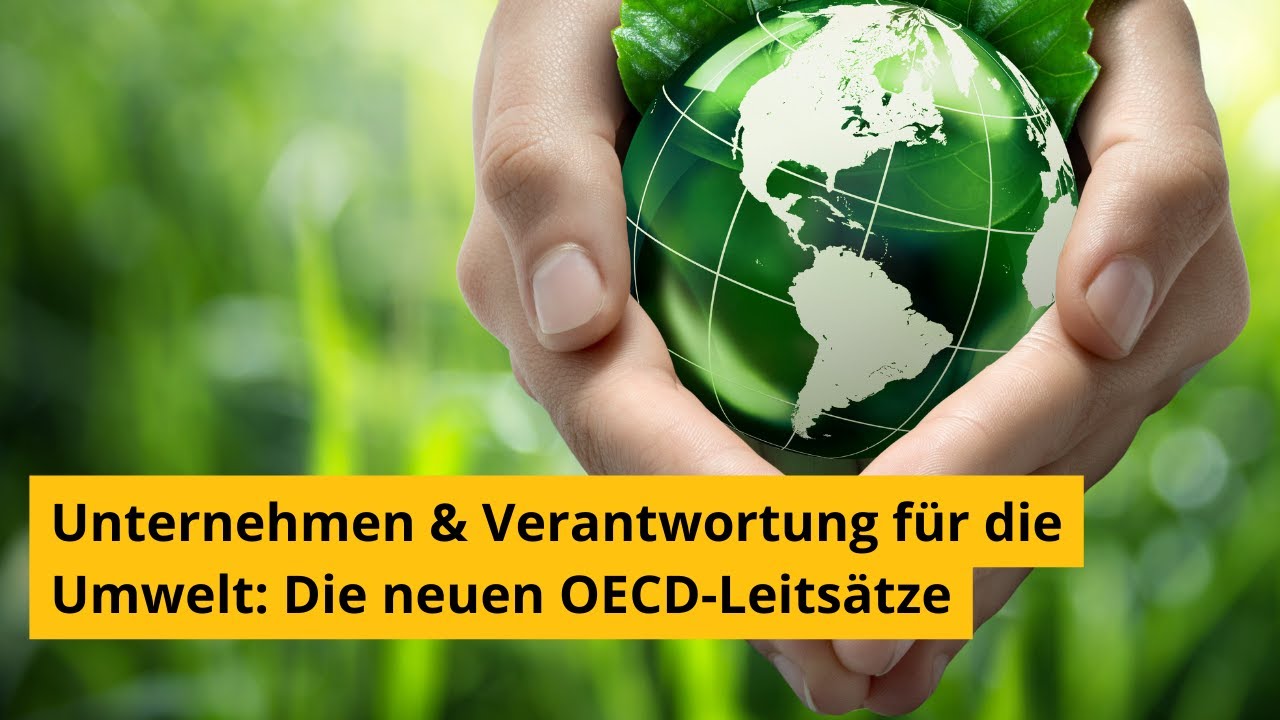Unternehmen & Verantwortung für die Umwelt: Die neuen OECD-Leitsätze ...