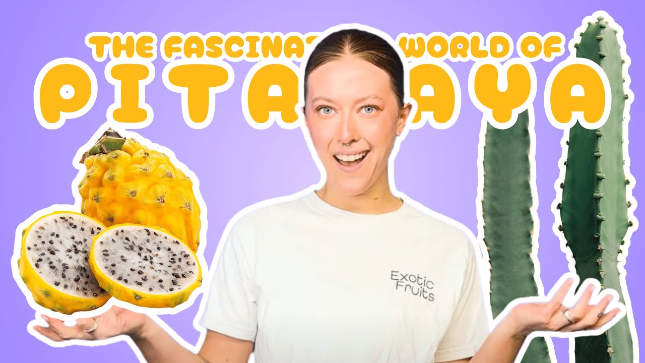 PITAHAYA! The World of Yellow Dragon Fruit | Exotic Fruits Deep Dive ...