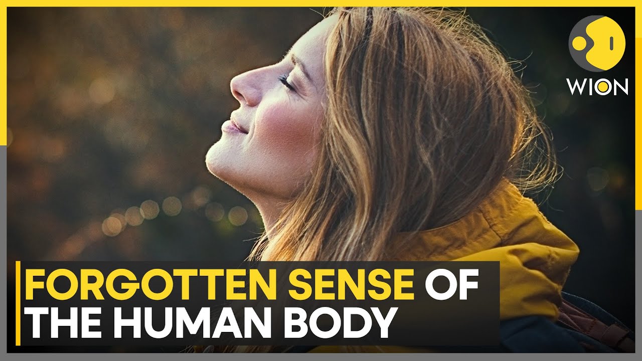 Scientists Reveal That Humans Possess 30 Different Ways to Feel | WION ...