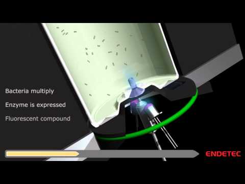 Veolia’s TECTA™ B16 Instrument for E. Coli Detection is Offered ...