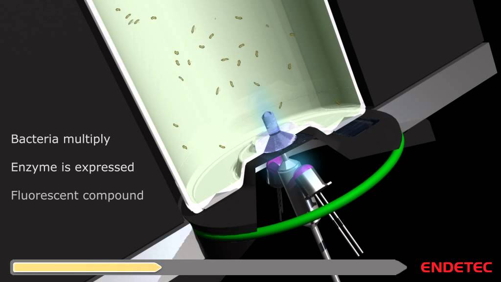 Endetec TECTA™ PORTABLE WATER DETECTION SYSTEM - YouTube