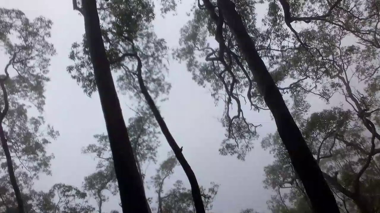 gunung Mutis NTT , 2427 MDPL, camp pendakian - YouTube