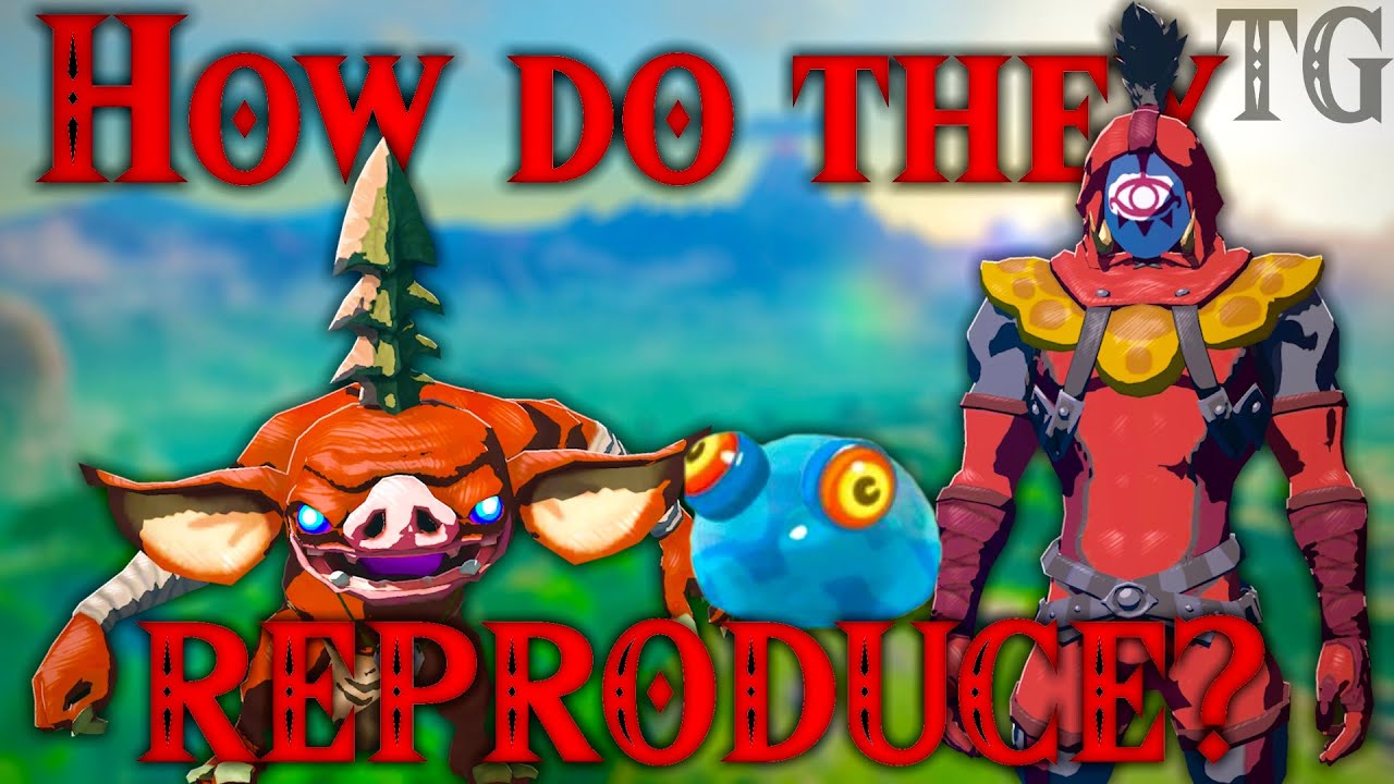 The FORBIDDEN Reproductive Anatomy of Zelda Monsters - YouTube