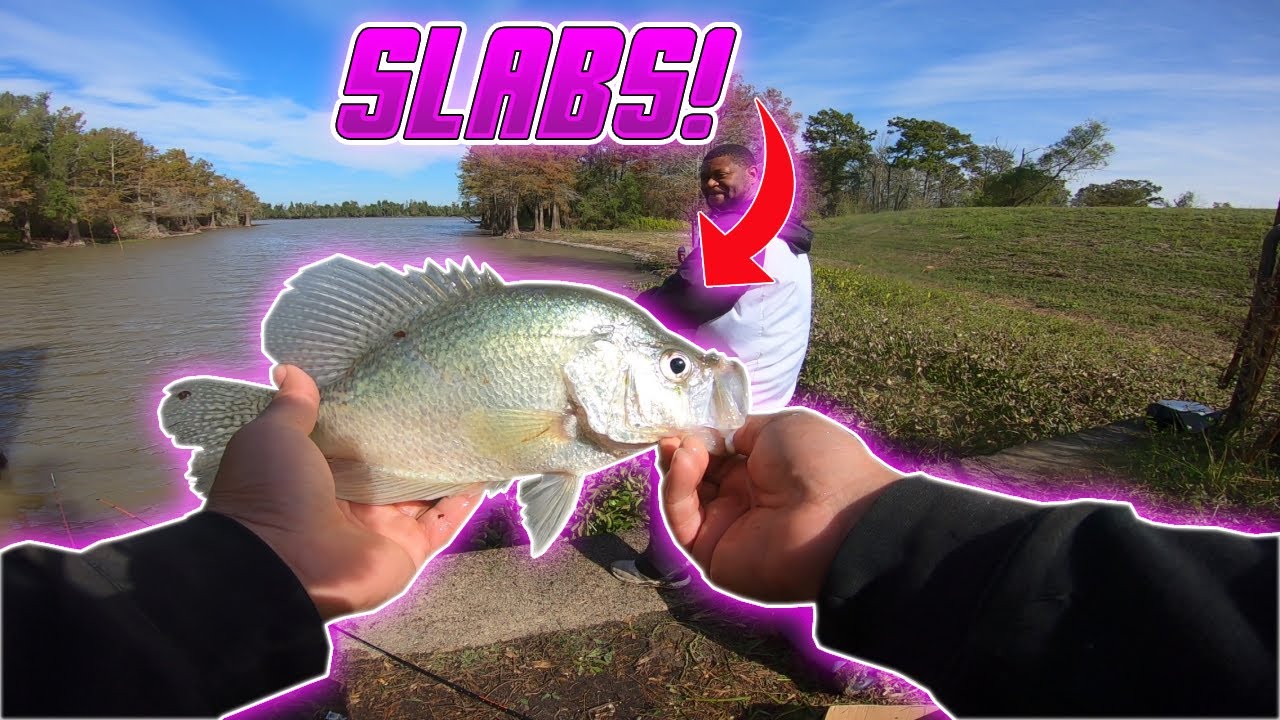 Black Crappie In Louisiana This Big Is Crazy(Slabs) - YouTube