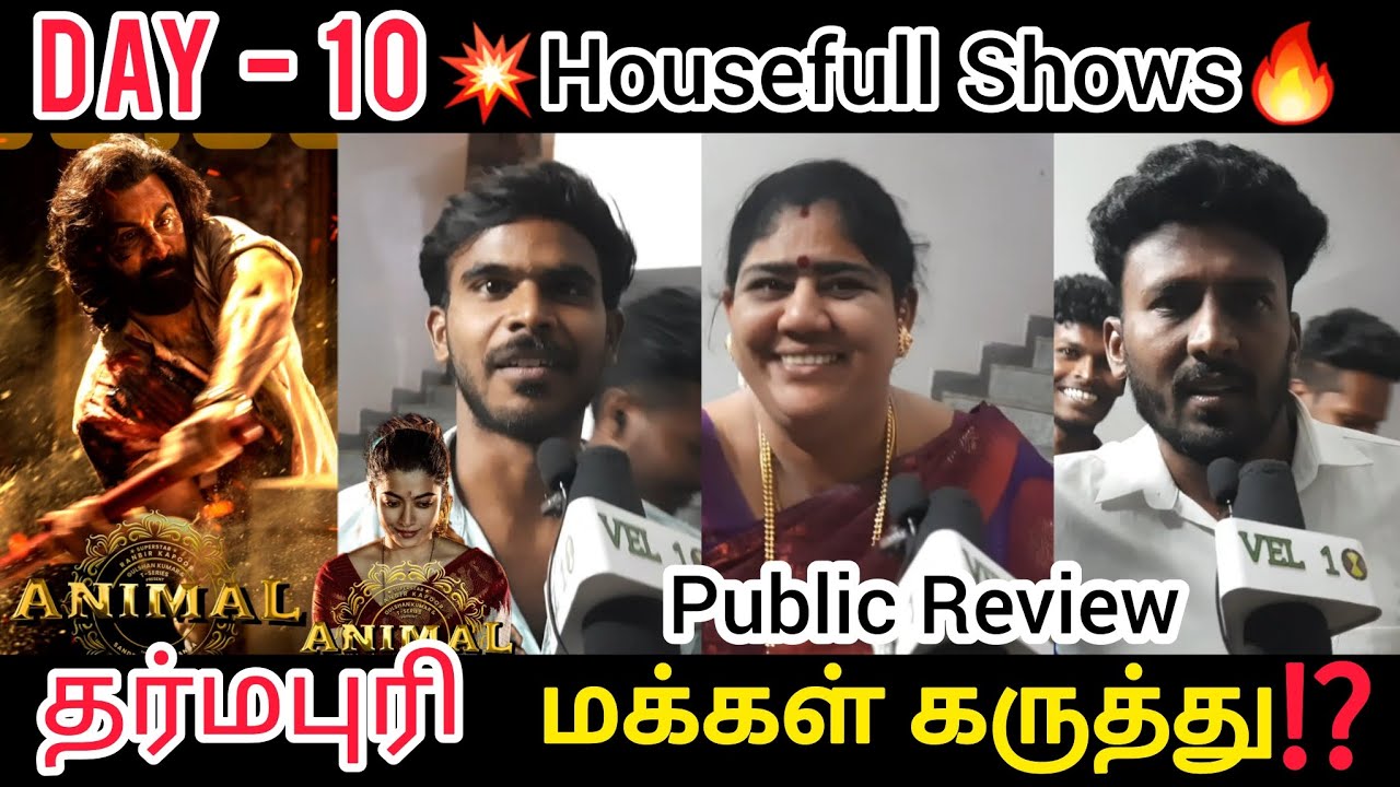 Animal Movie Theatre Audience Response | Animal movie Review ...