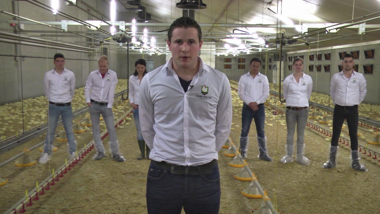 Pluimvee innovatieprijs: Young Poultry People - www.pluimveeweb.nl ...