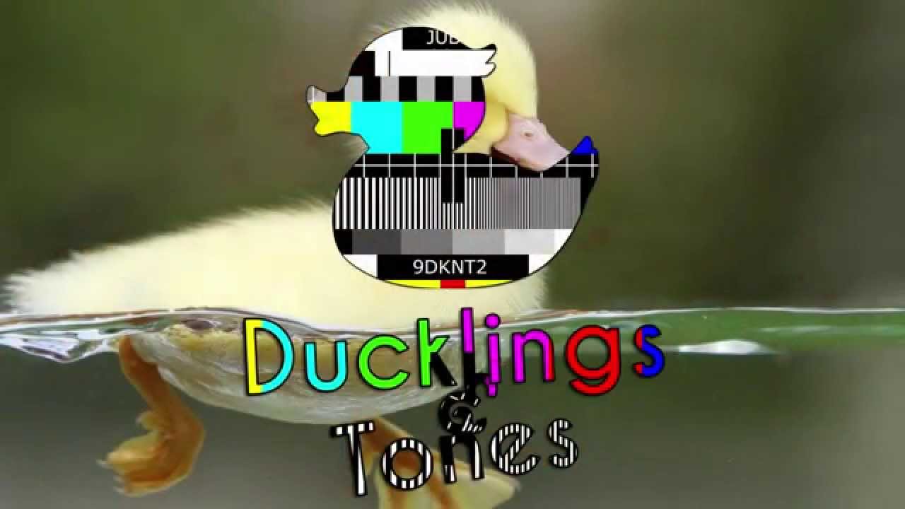 Darude - Sandstorm (Ducklings & Tones 2015 teaser remix) - YouTube