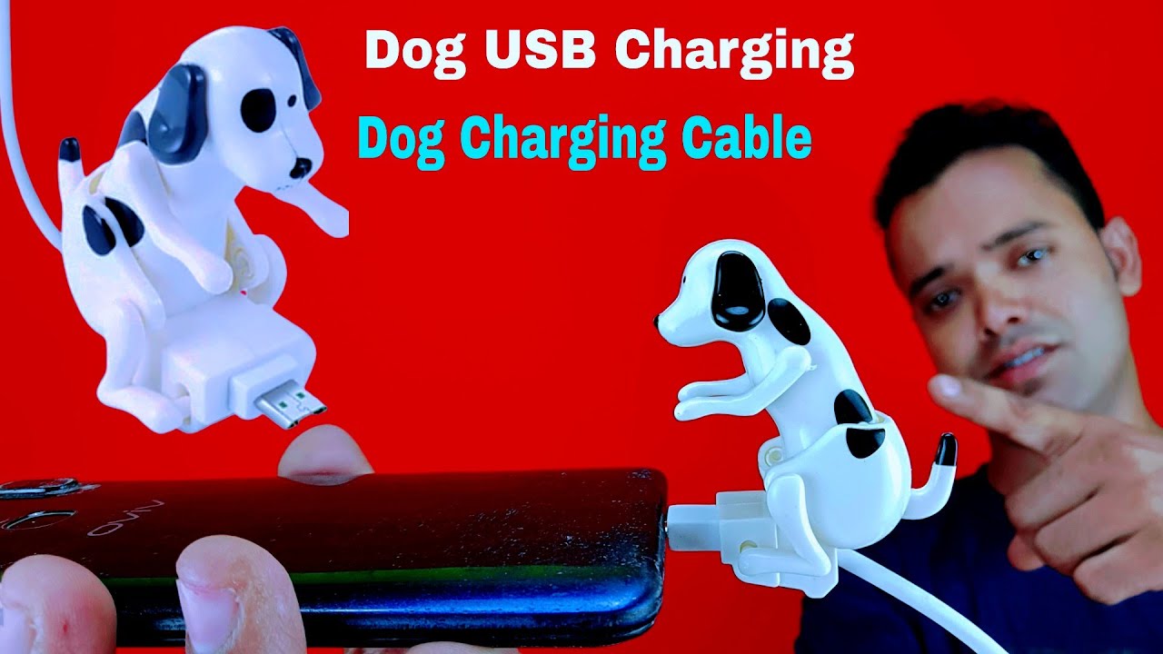 How To Use Dog Charger | Dog USB Charging Cable Dog Charger Dog ...