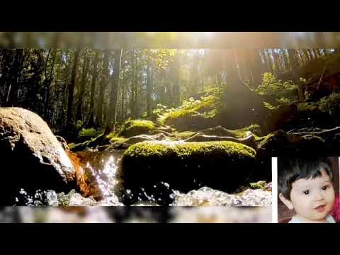 Musiqi 🎶 VƏ  Təbiət🌼🌺🌻XOŞ İSTİRAHƏTLƏR