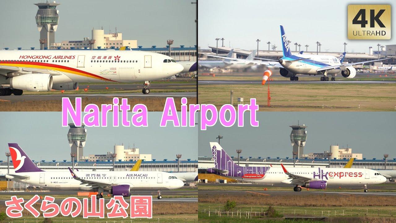 成田空港と桜 - Narita Airport/Sakura/Plane spotting さくらの山公園 2023-04v10 B-LEG ...