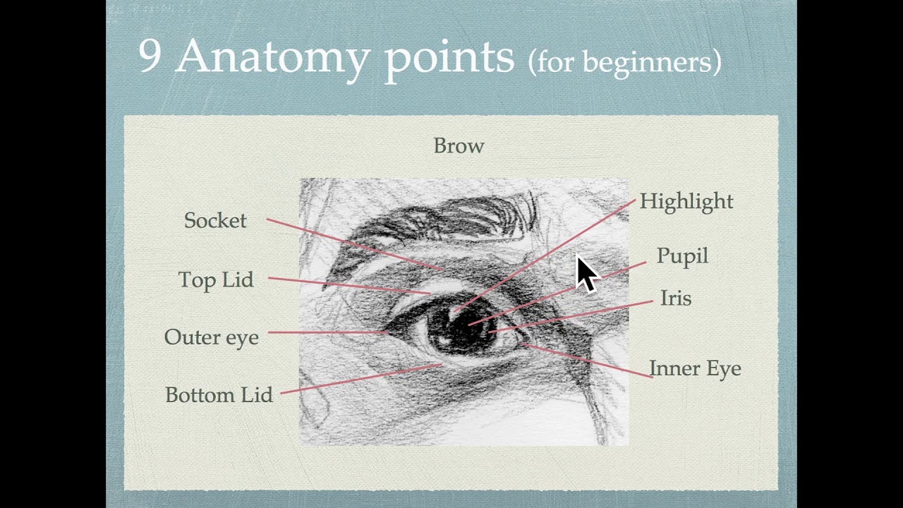The Eye Line for Beginners - YouTube