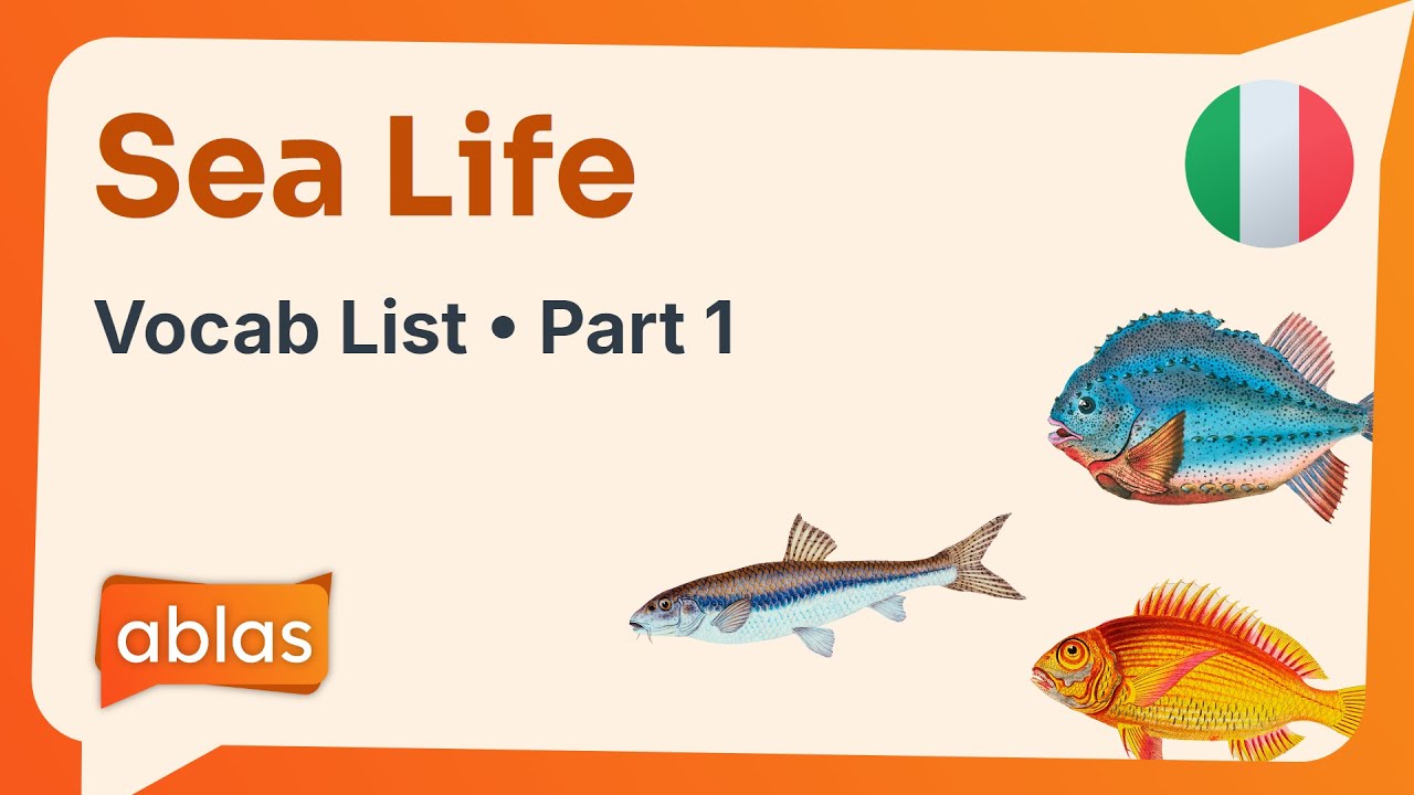 Sea Life | Italian Vocabulary List (Part 1) - YouTube