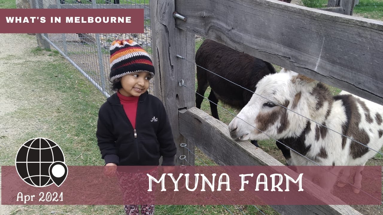 Myuna Farm, Melbourne || A Day in the Farm - YouTube