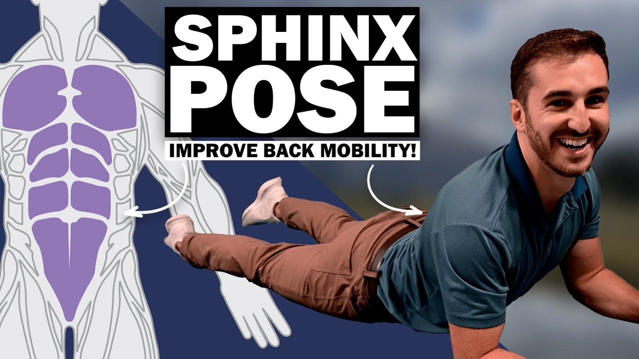 Improve Spinal Health with Sphinx Pose | PhysioSpace 🌟 - YouTube