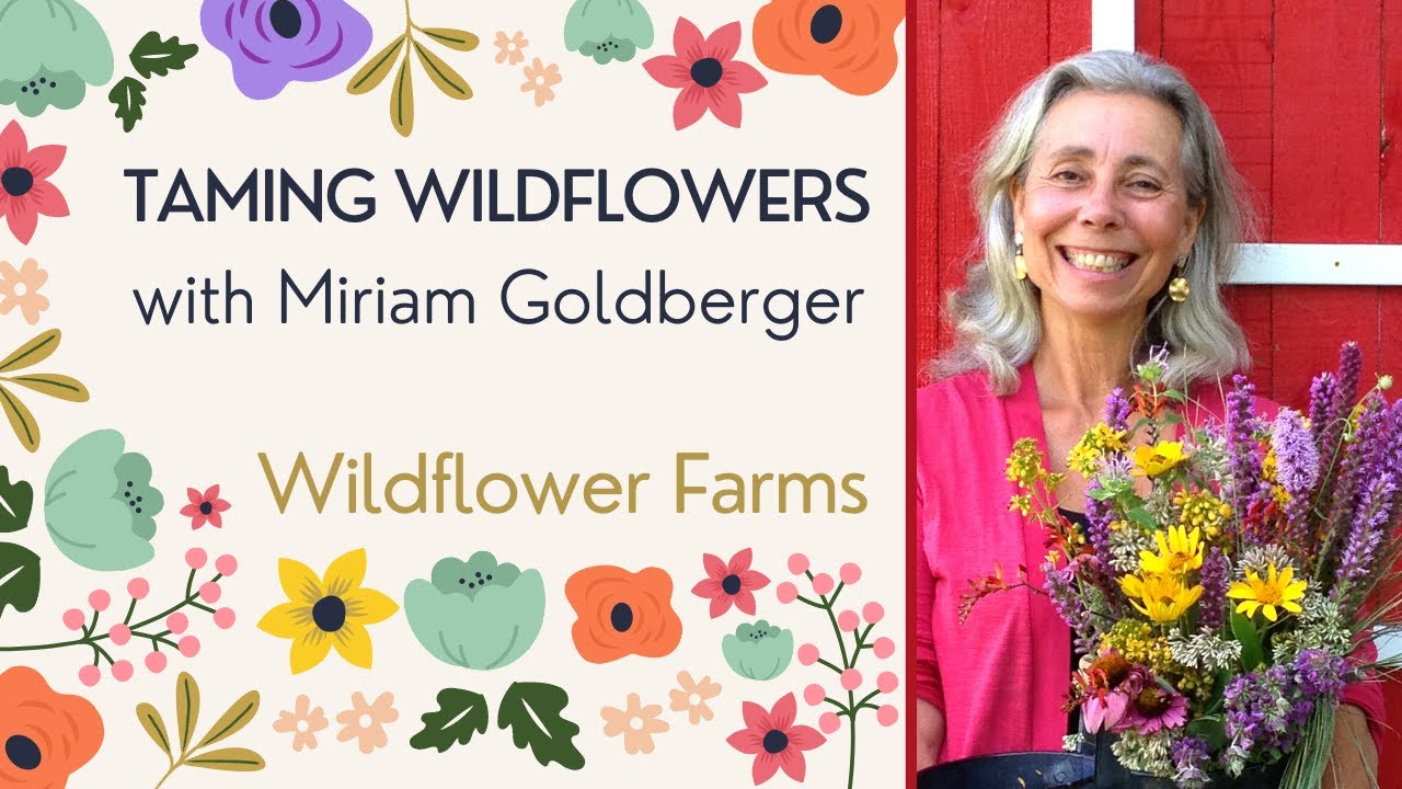 Taming Wildflowers with Miriam Goldberger - YouTube