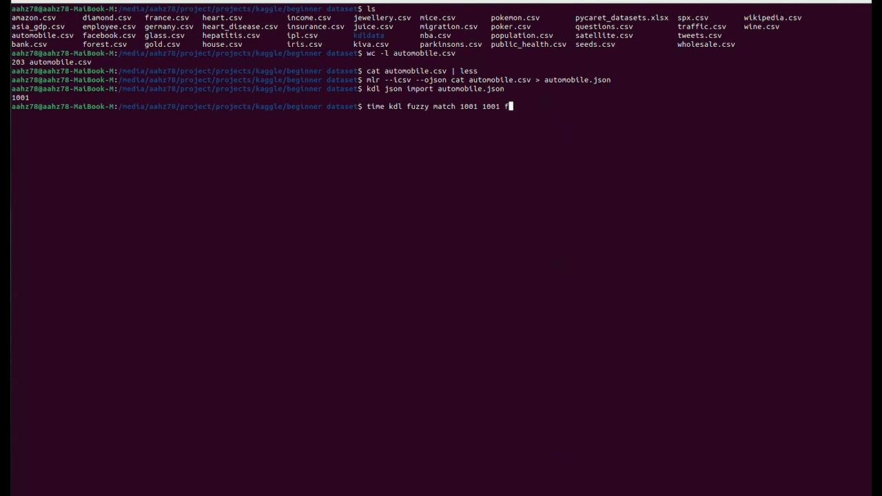 Duplicate Detection in Kaggle's Automobile Dataset Using KnoDL - YouTube