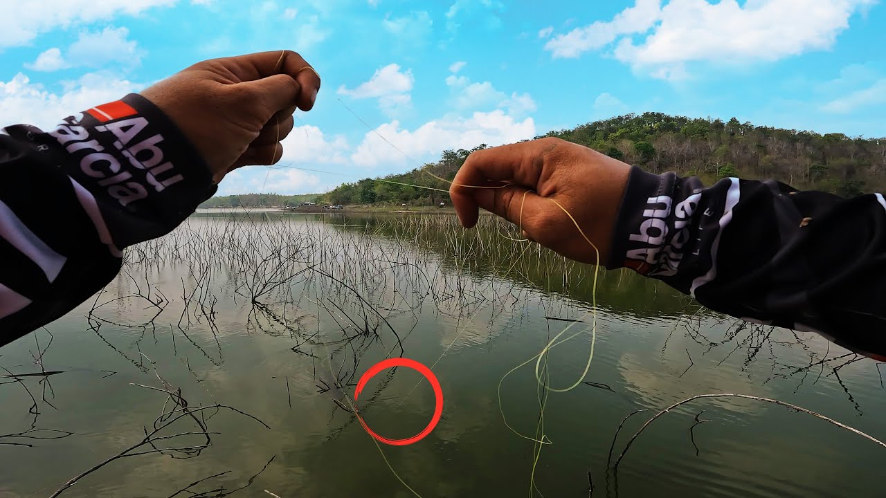 เปิดวันแรก เดินลุยหาปลาช่อนข้างอ่างเก็บน้ำแม่หาด P.NU FISHING - YouTube