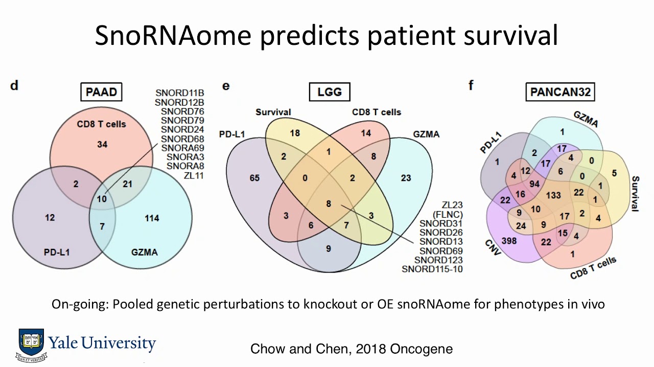 Sidi Chen at the 2018 SD Cell Mapping Symposium - YouTube