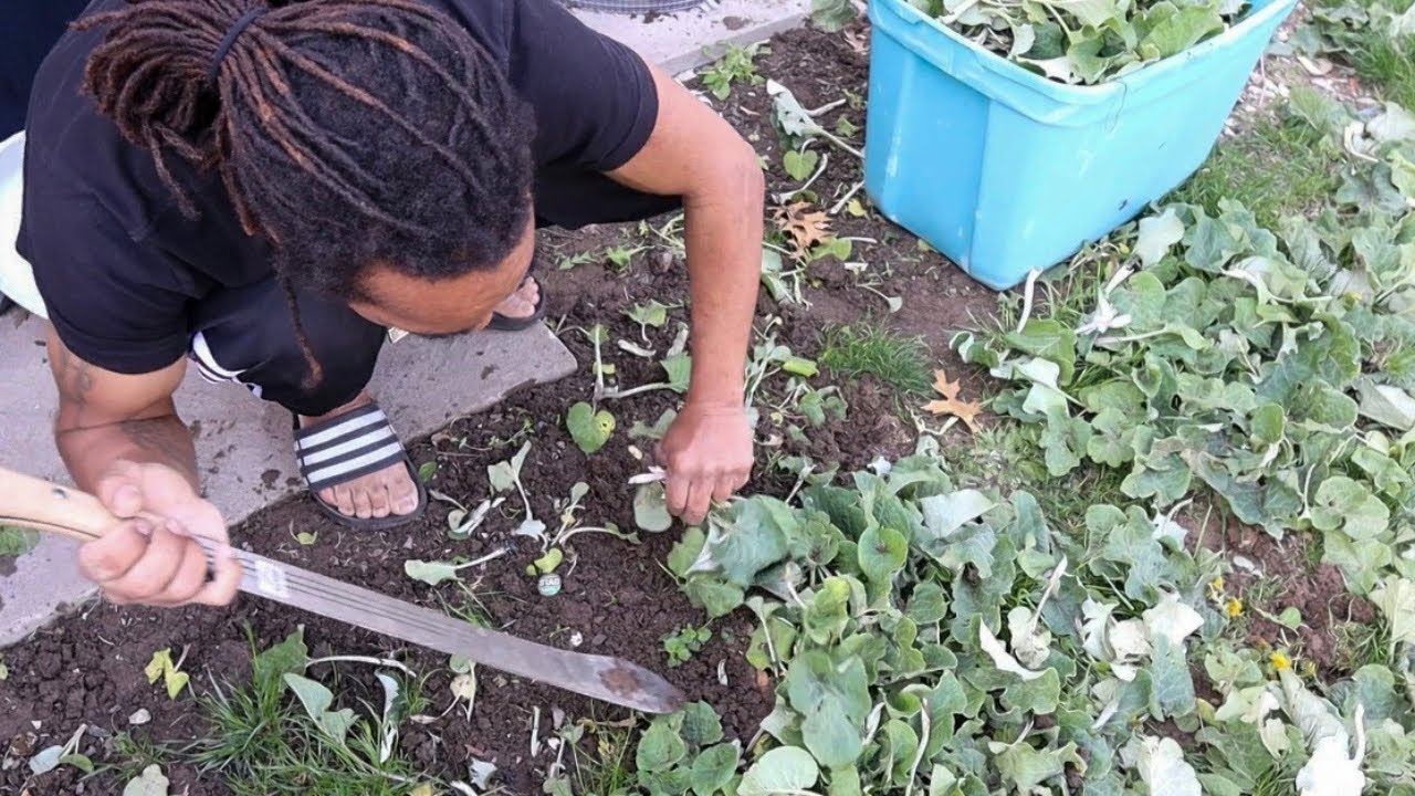 VLOG| GARDEN CLEAN UP WITH YOUR FAVOURITE RASTA | ep 1 - YouTube