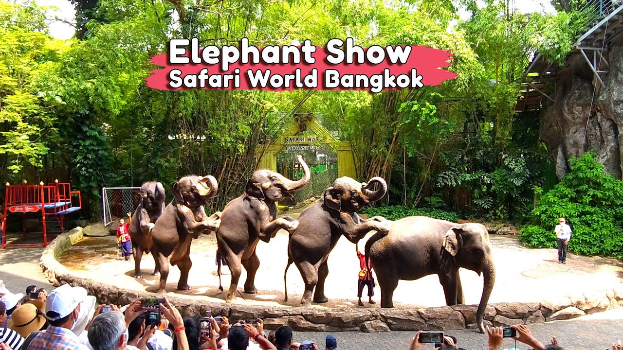 Elephant Show(EP-1)(โชว์ช้าง ซาฟารีเวิลด์) Safari World Bangkok #ซาฟารี ...