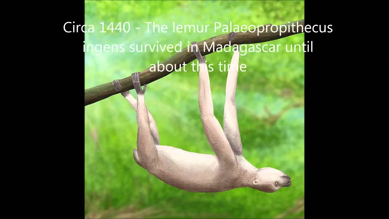 Animals Timeline of Extinction - YouTube