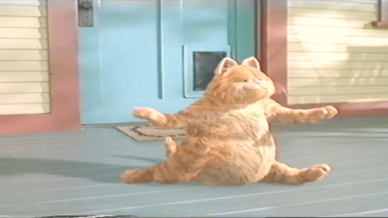 Garfield: Garfield's Last Dance (2004) (VHS Capture) - YouTube