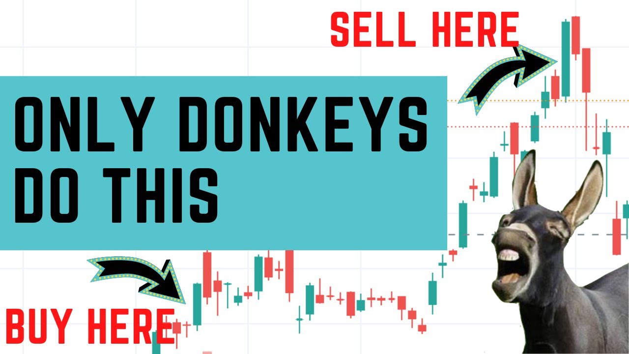 Are YOU a Donkey Investor? | How to invest in the stock market the ...