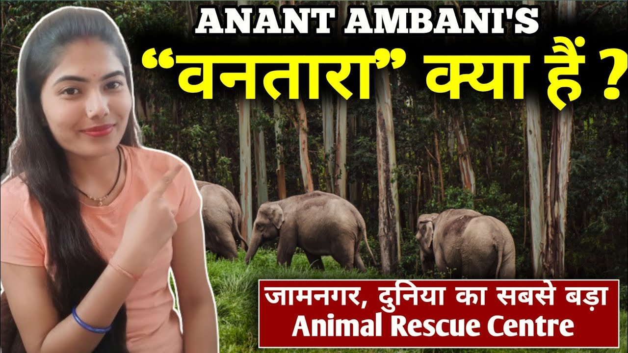 Anant Ambani's VANTARA world Biggest Animal rescue centre at Jamnagar ...