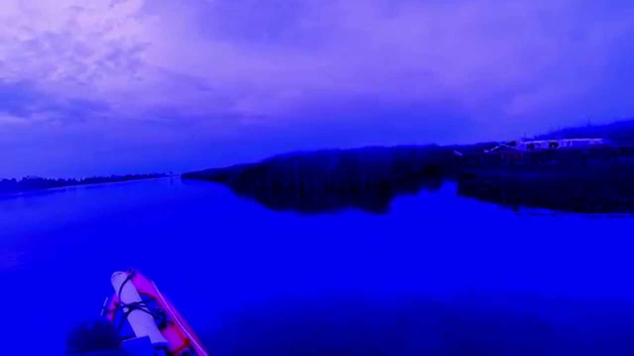 INTO THE BLUE!!!!!! Spring Creek Florida - YouTube