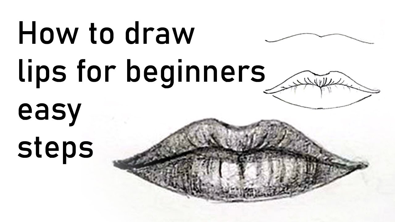 How To Draw Lips For Beginners Easy Steps Youtube