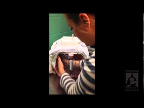 How to Provide Nebulization Treatment for a Cat - YouTube