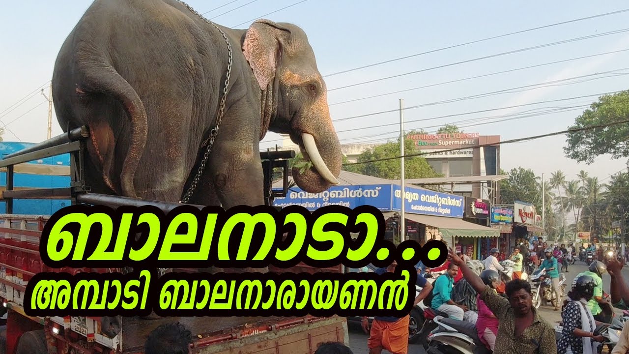 Ambadi Balanarayanan II ആമ്പാടി ബാലനാരായണനും വാടാനപ്പള്ളി ...