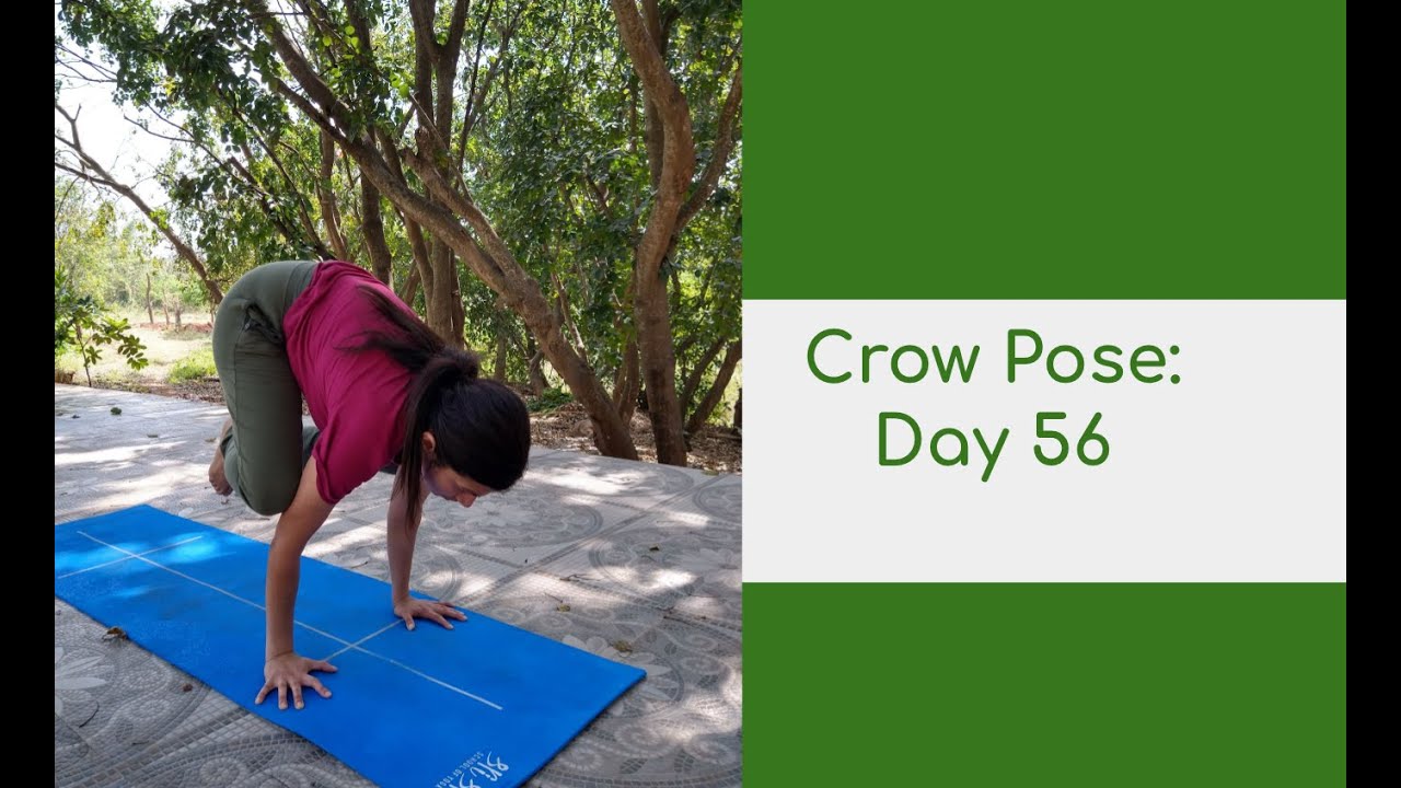 Crow pose Day 56 | 35 min pranayama (breath work), chanting, meditation ...
