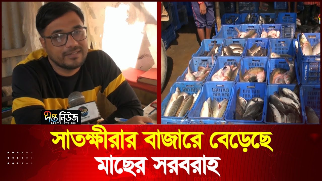 সাতক্ষীরার বাজারে বেড়েছে মাছের সরবরাহ | Satkhira | Fish Market ...