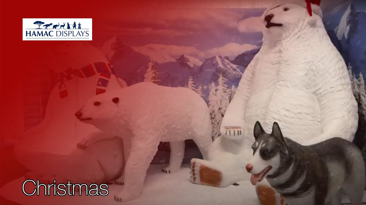 HAMAC DISPLAYS- Polar Range - YouTube