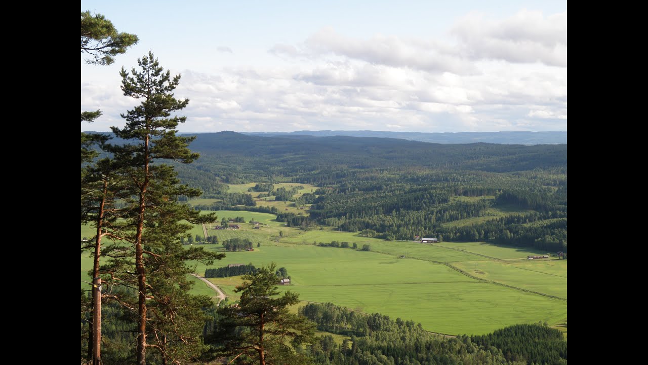 Torleif Styffe Med Vänner - YouTube