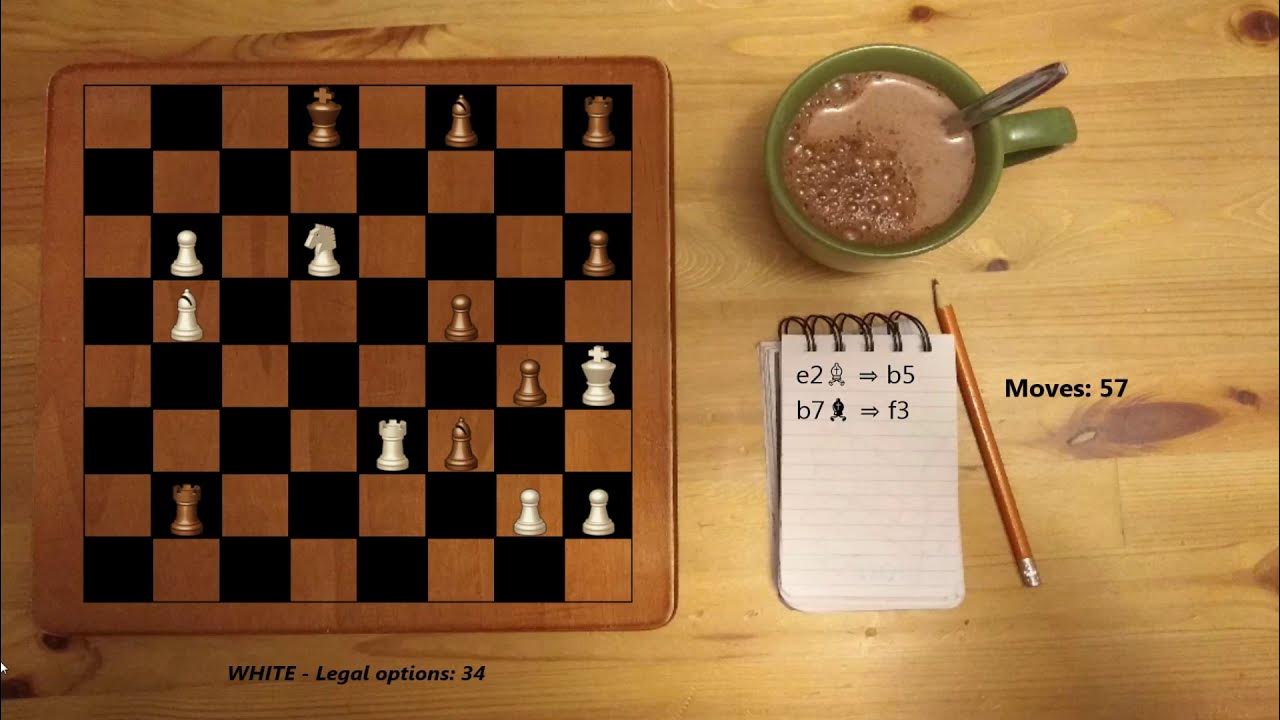 Chess: Random Moves vs. Random Moves - YouTube