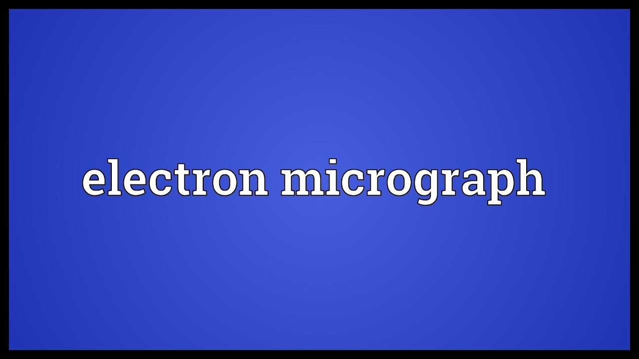 Electron micrograph Meaning - YouTube
