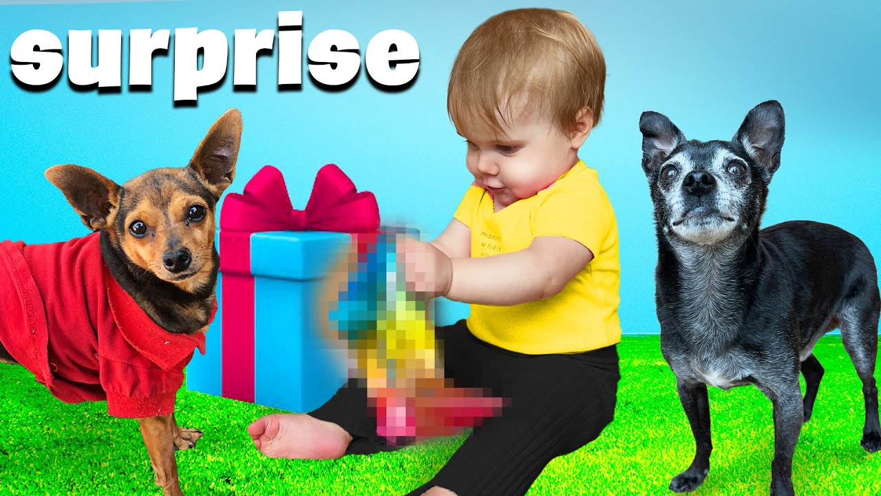 Buying Everything Our Dog Touches For Our Daughter - YouTube