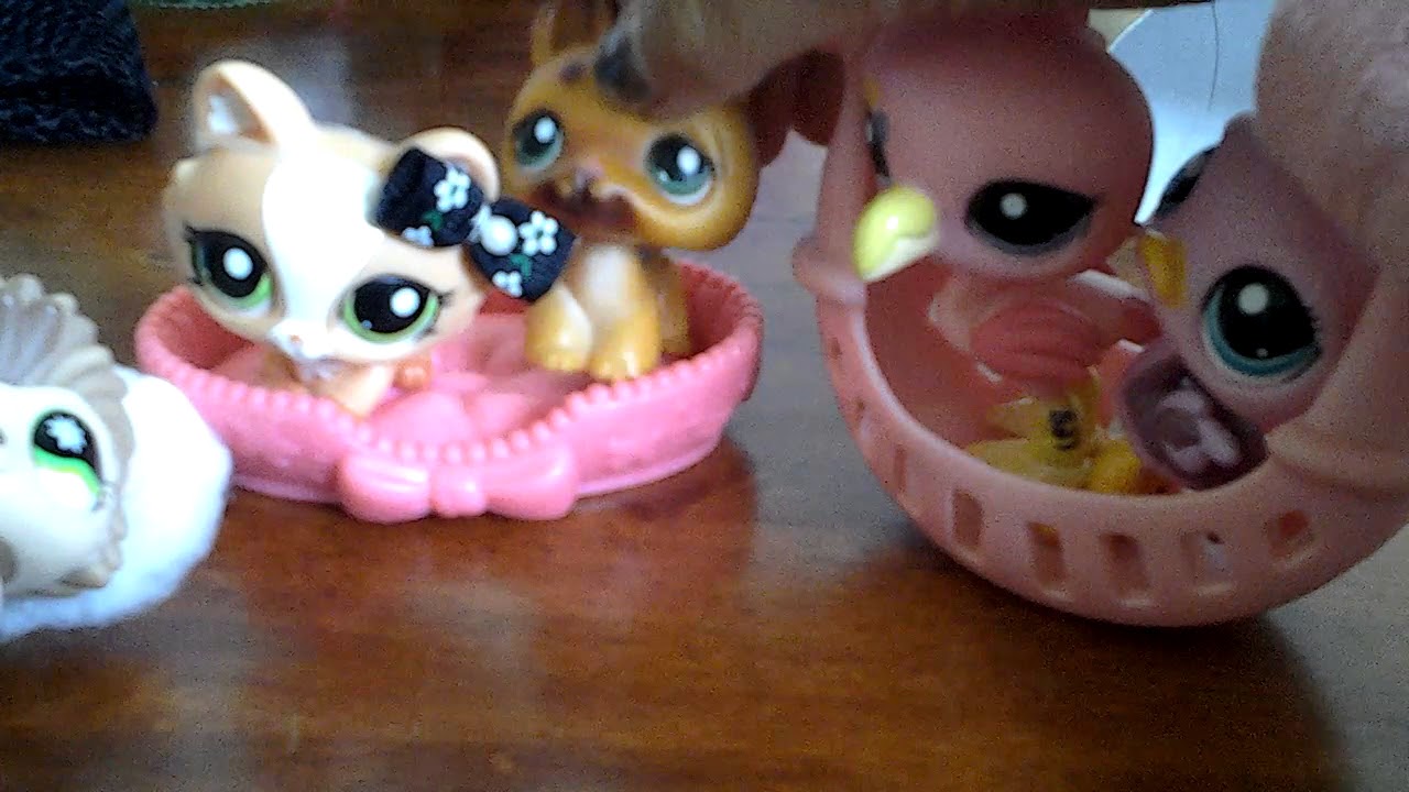 People finding out about my Lps Channel - YouTube