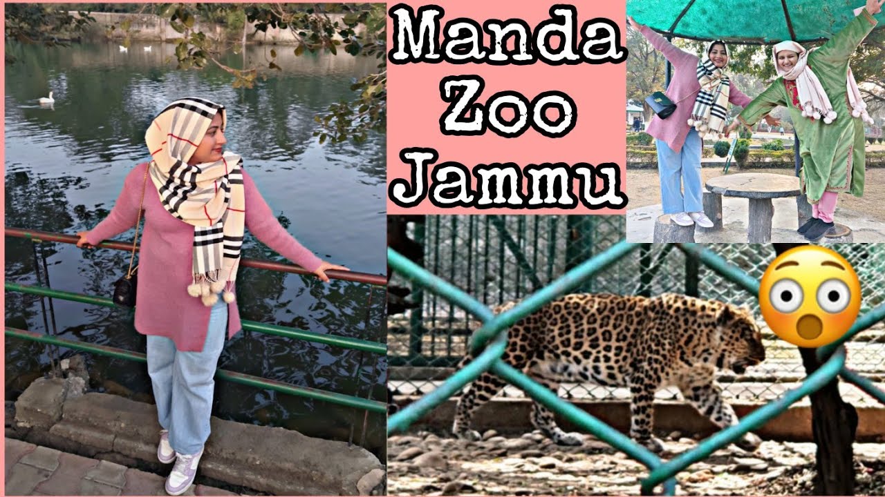 Exploring Manda Zoo Jammu with my friend 🐅🐒🦚🦆||Vlog-44 #rahinakhakhmat ...