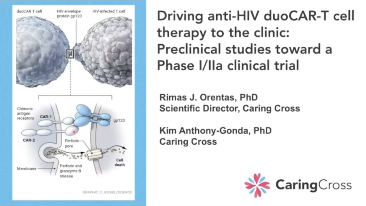 DRIVING ANTI-HIV DUO CAR T CELL THERAPY TO THE CLINIC - YouTube